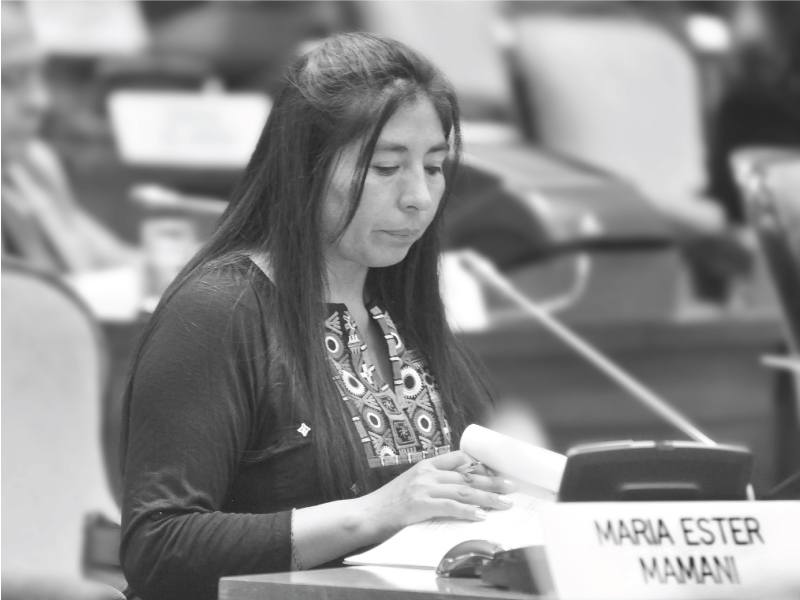 Kranear - Conversaciones con la compañera María Ester Mamaní